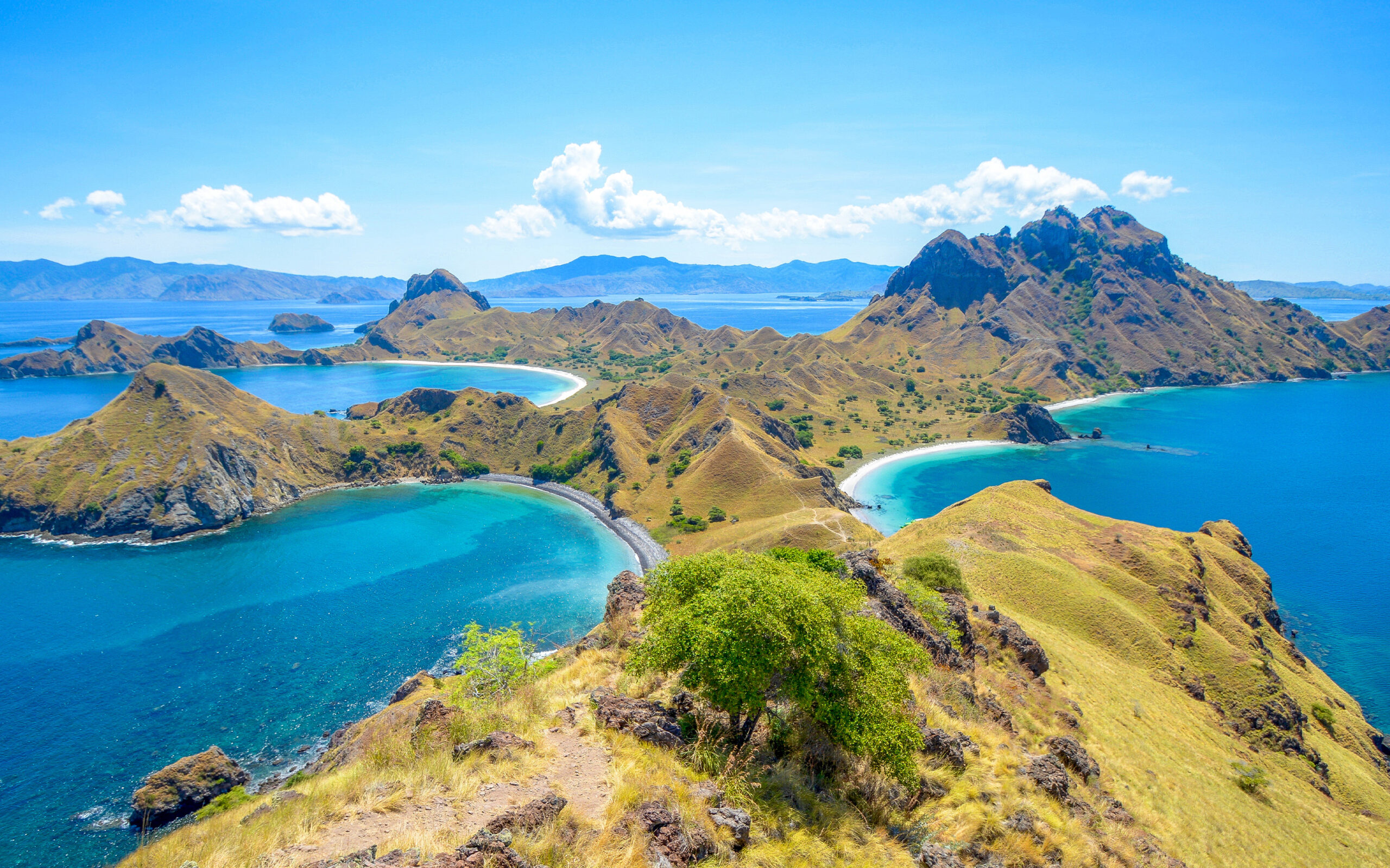 Skræddersyede rejser til Indonesien | Profil Rejser